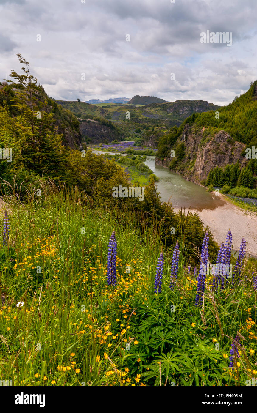 Simpson River Valley, Simpson River National Park, near Puerto Aisen ...