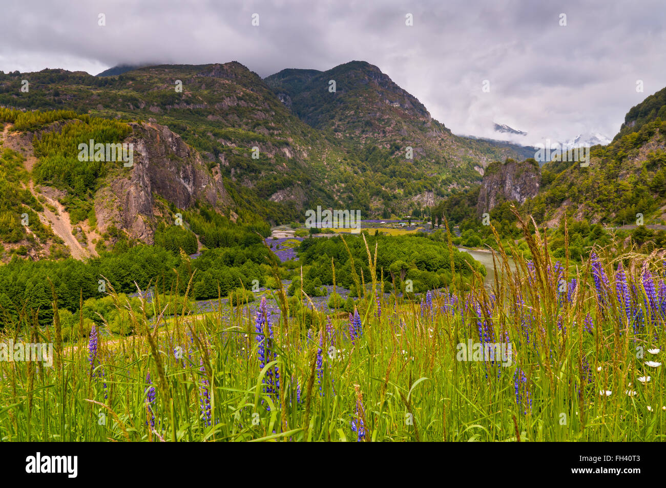 Simpson River Valley, Simpson River National Park, near Puerto Aisen ...