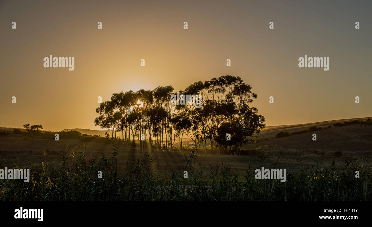 Africa scenery landscape rolling hills countryside rural hi-res stock ...