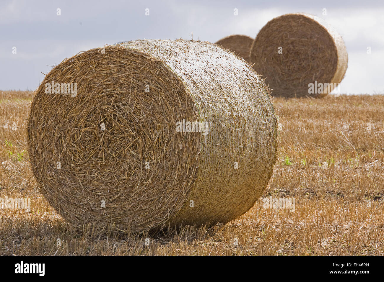 Harvest time season hi-res stock photography and images - Alamy