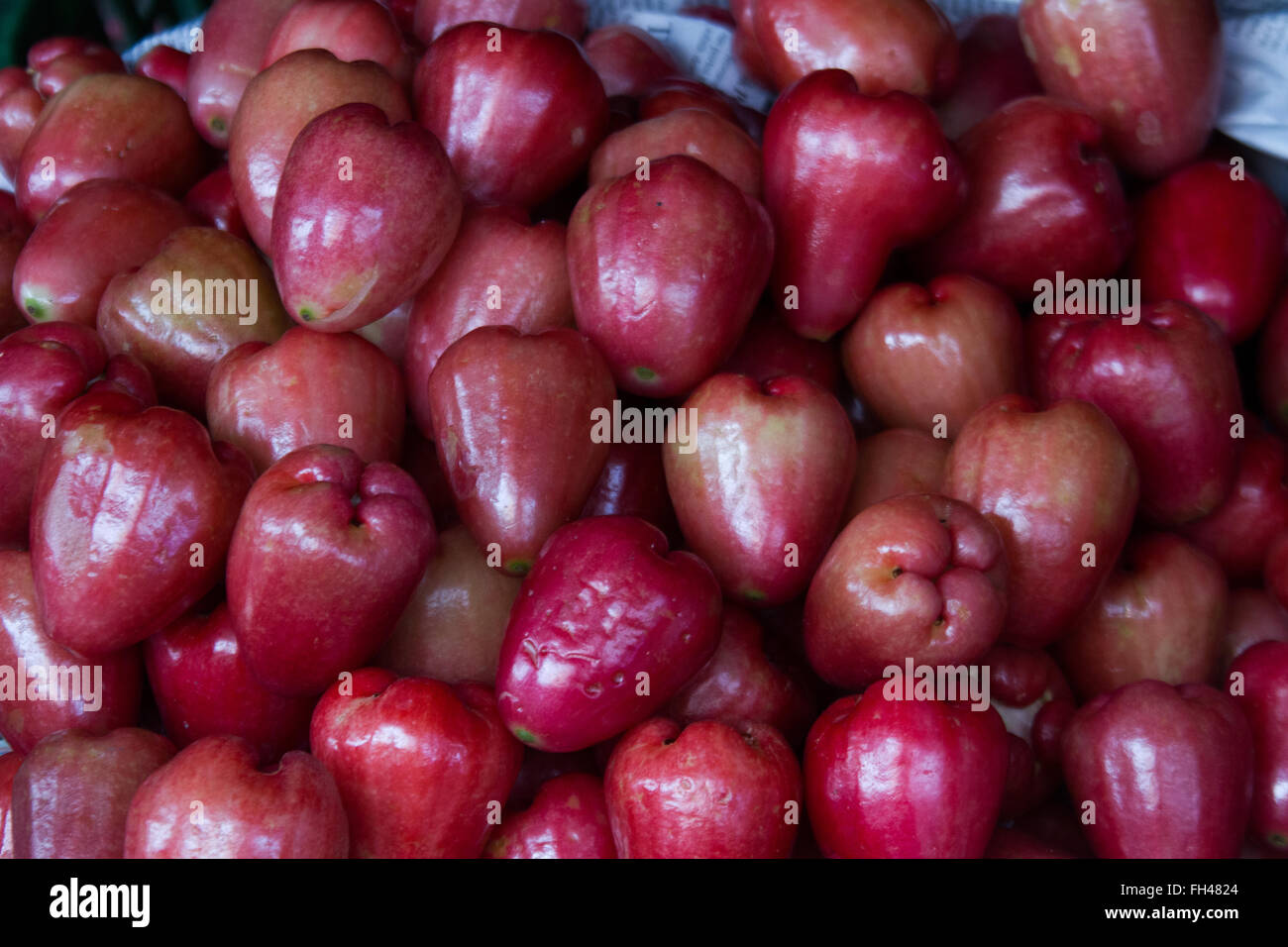 Tropical guava fruits Stock Photo - Alamy