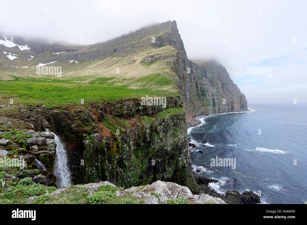 Coastal cliffs, Hornstrandir nature reserve, Westfjords, Iceland ...