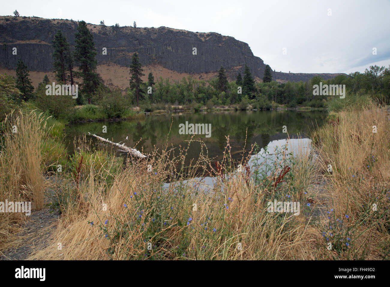 A calm lake in Washington State backed by basalt (volcanic) columns ...