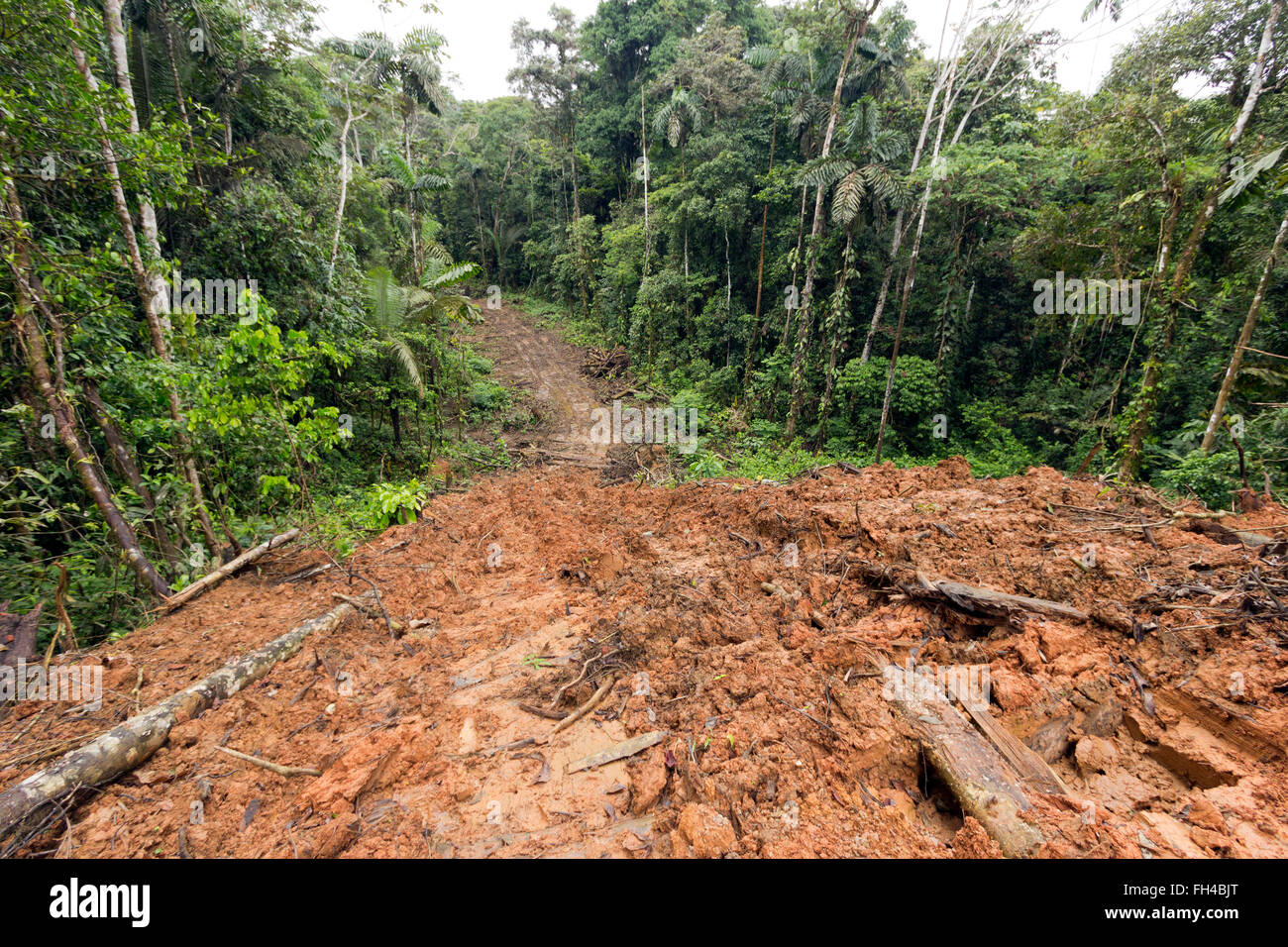 Deforestation amazon hi-res stock photography and images - Alamy