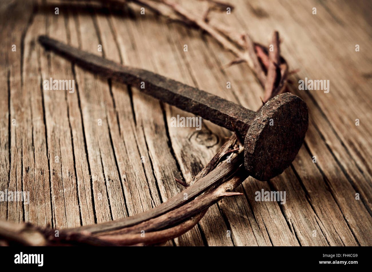 Crown Of Thorns Cross Nails
