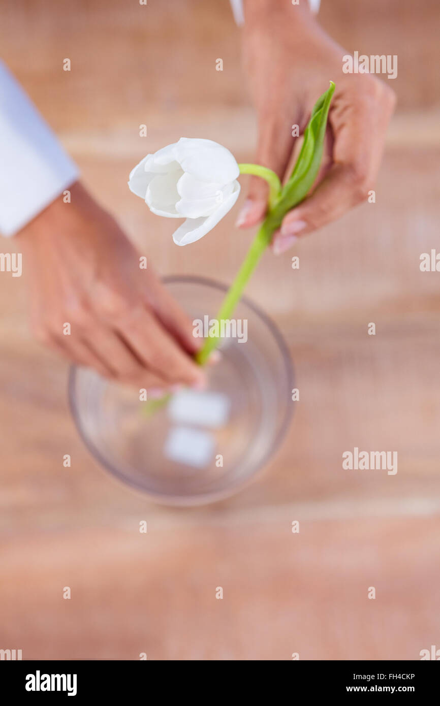 Woman putting flower in vase hi-res stock photography and images - Alamy