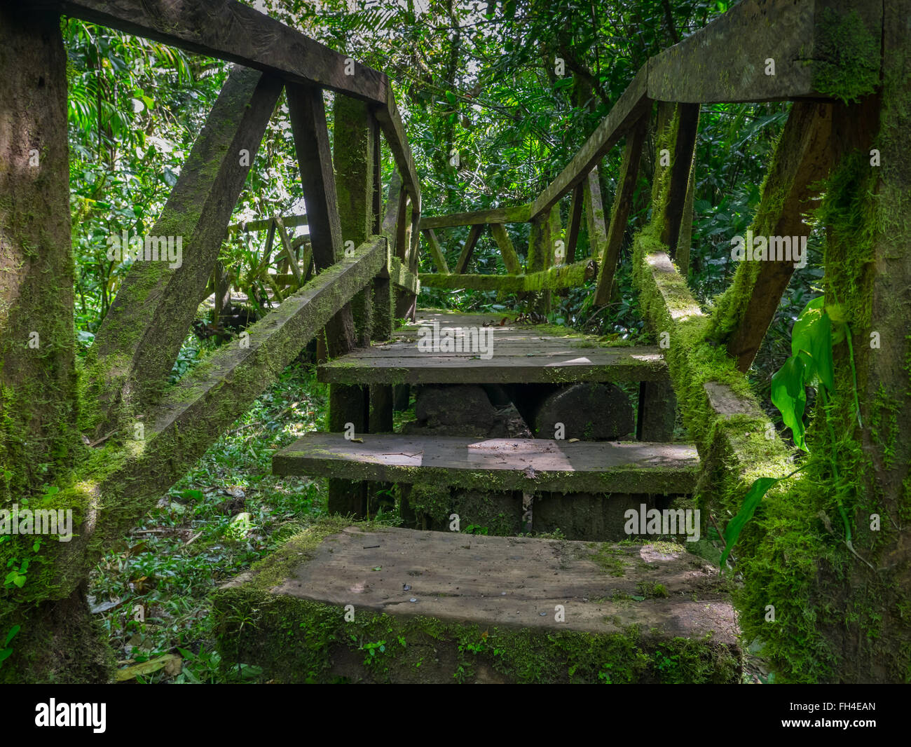 Mombacho hike hi-res stock photography and images - Alamy