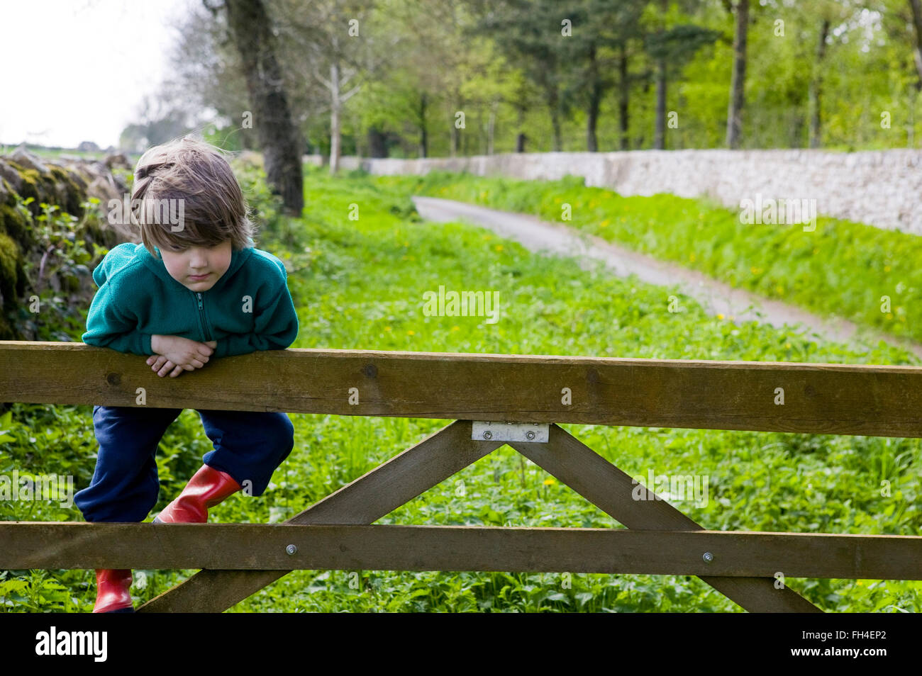 Child climbing on gate hi-res stock photography and images - Alamy