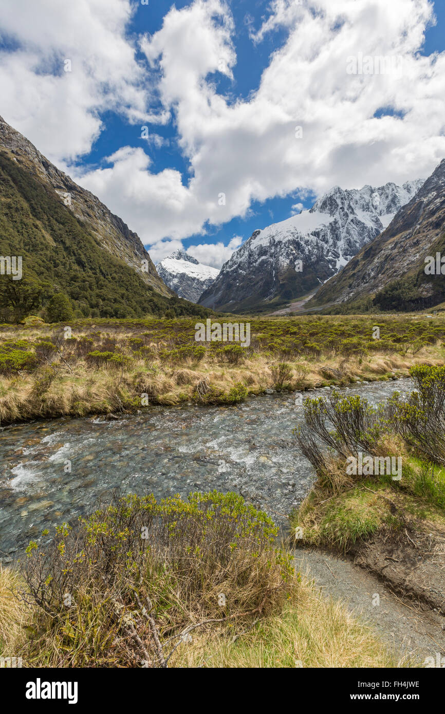 The Chasm Fiordland High Resolution Stock Photography and Images - Alamy