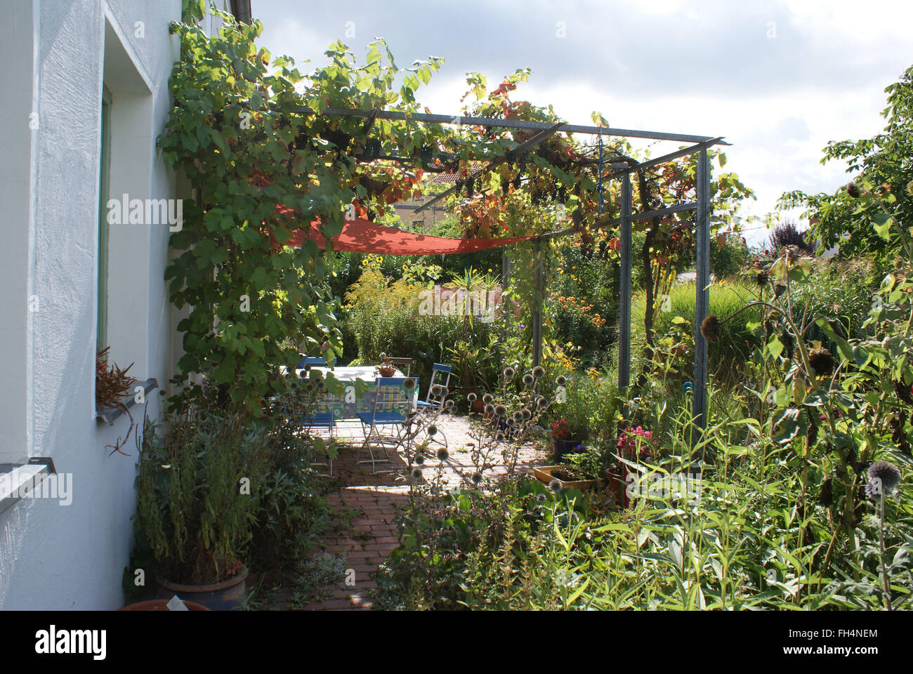 Grape vine arbour hi-res stock photography and images - Alamy
