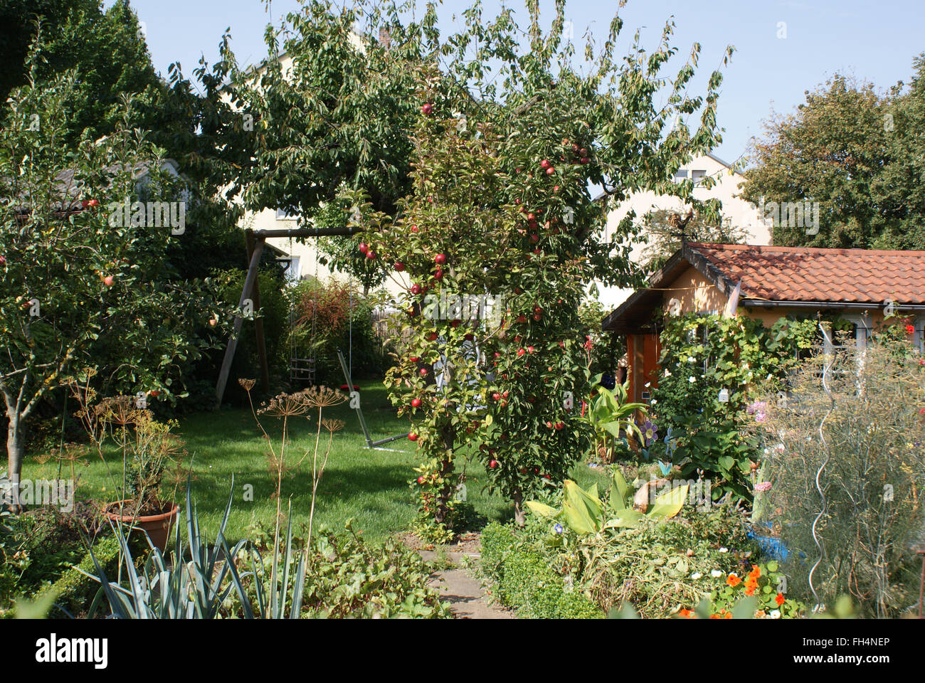 Fastigiate tree hi-res stock photography and images - Alamy