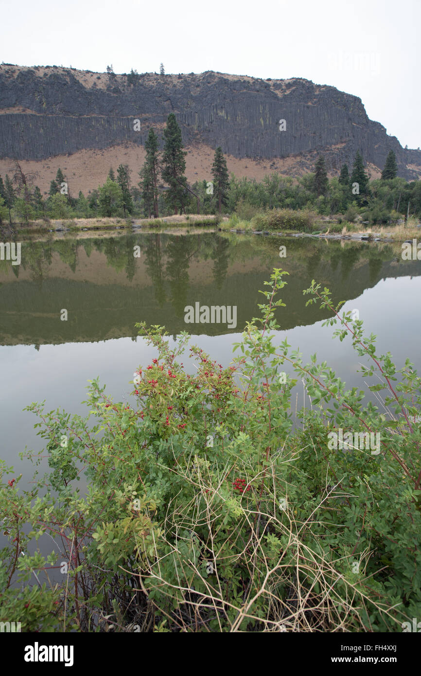 A calm lake in Washington State backed by basalt (volcanic) columns ...