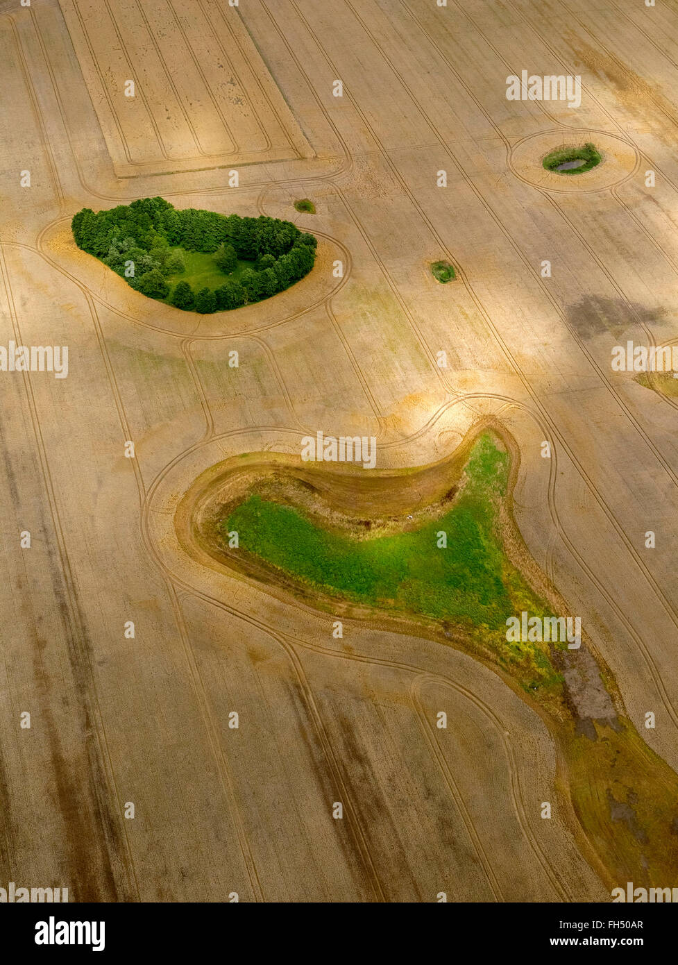 Aerial view, field Wildflecken, arable, field, moraine, Dettmannsdorf ...