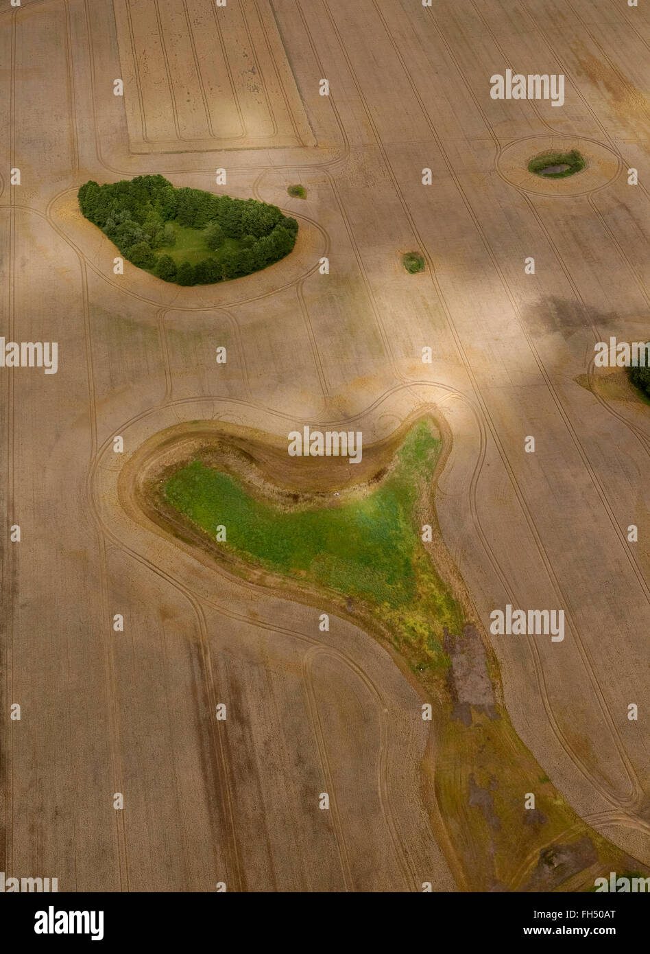 Wildflecken Germany Post Guest Book