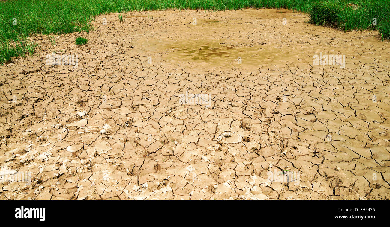 Dry lake background. Environment concept Stock Photo - Alamy