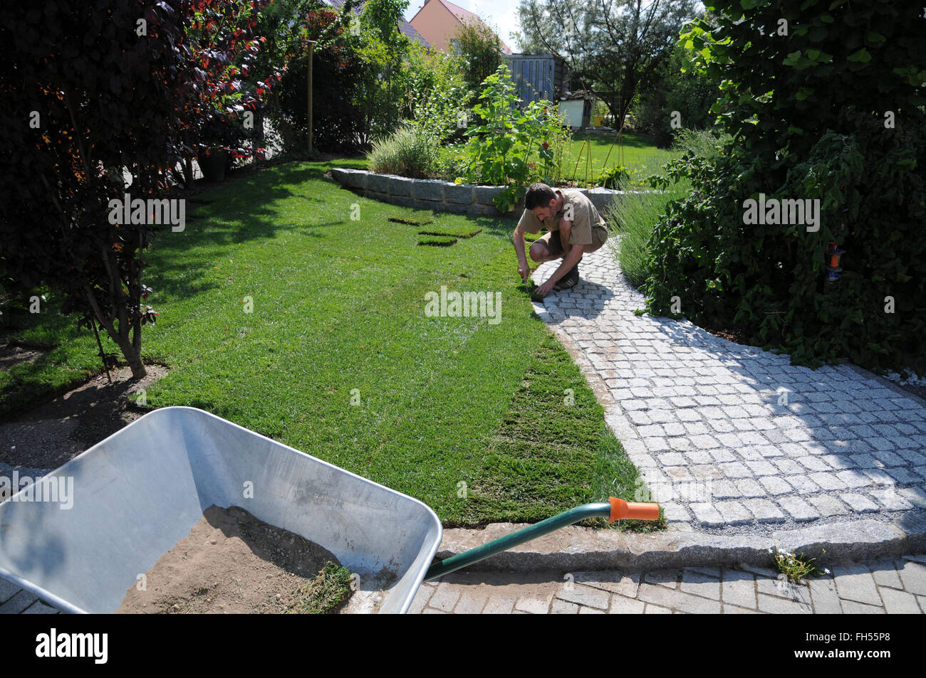 Laying sod, cutting sod-pieces Stock Photo - Alamy