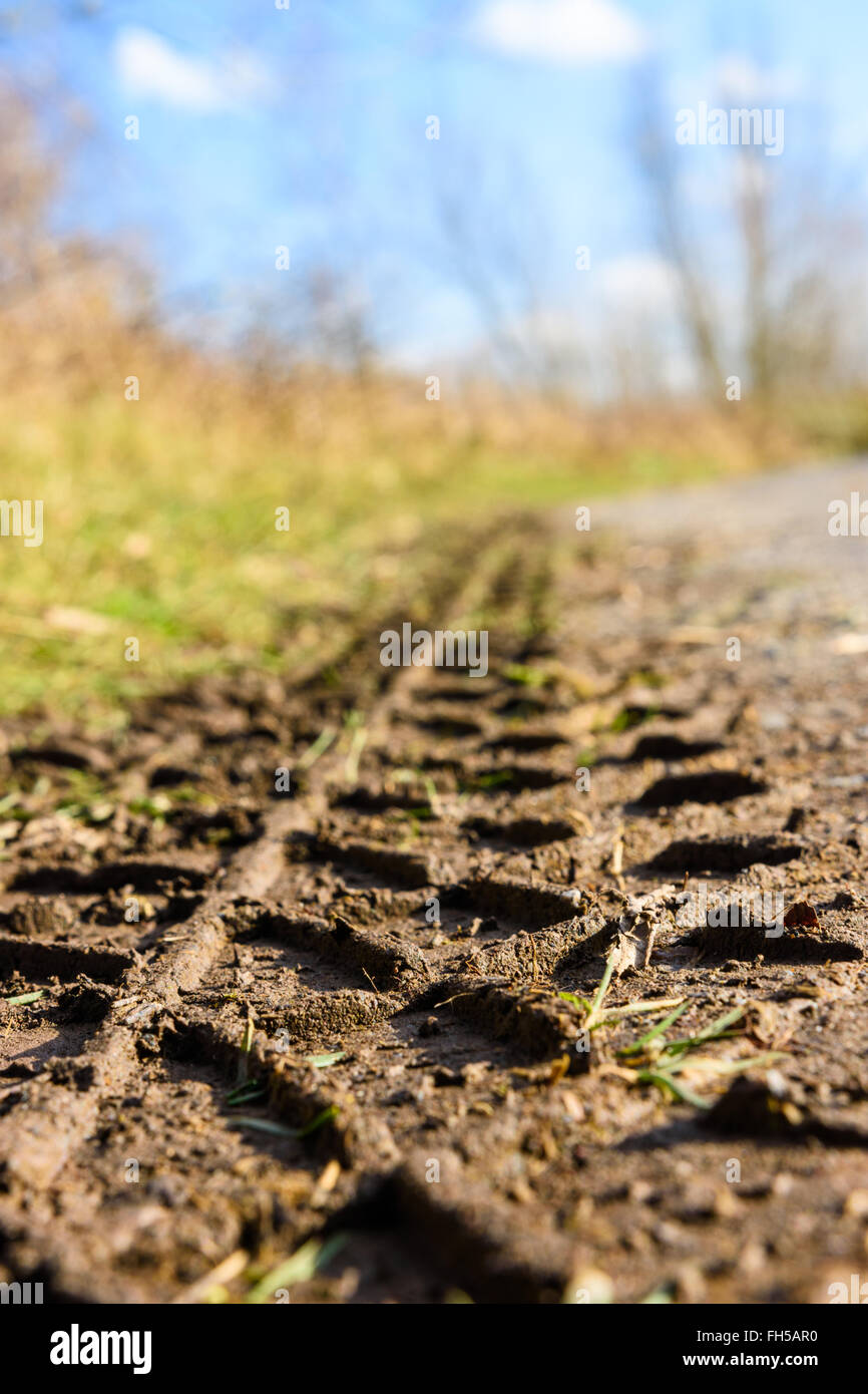 Ground level view of a tyre track left in the mud at the side of a ...