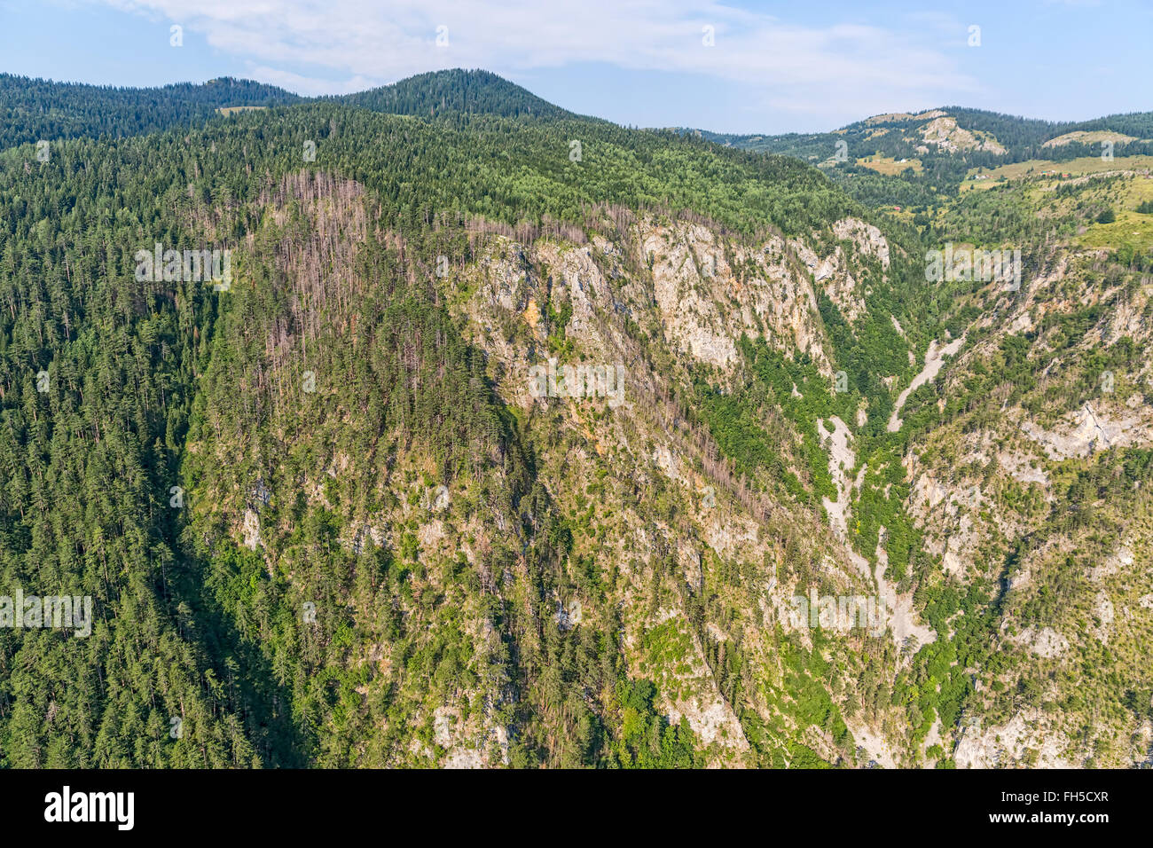 Montenegro mountains forest aerial Stock Photo - Alamy