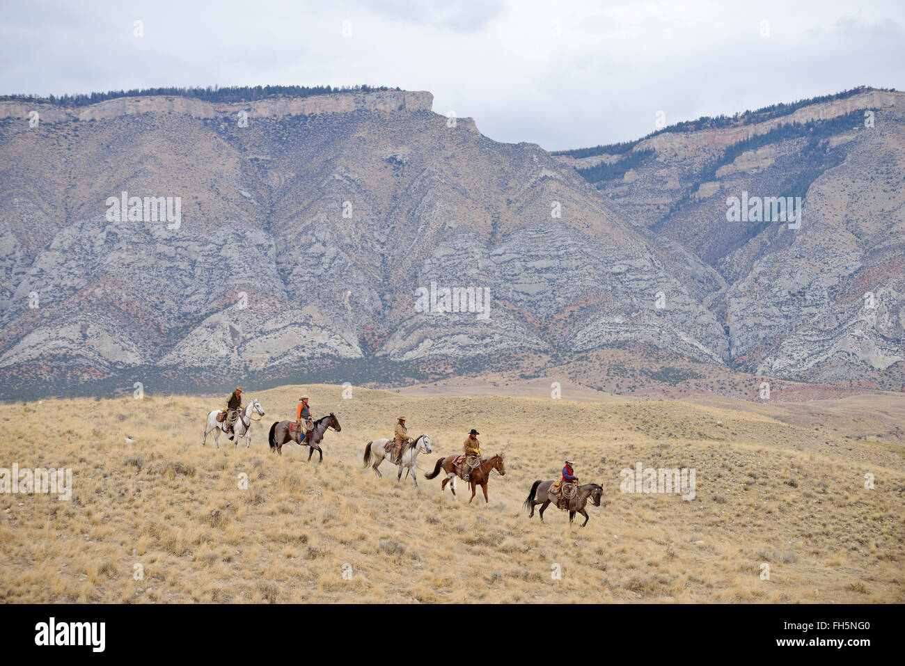 Working cowgirls hi-res stock photography and images - Alamy