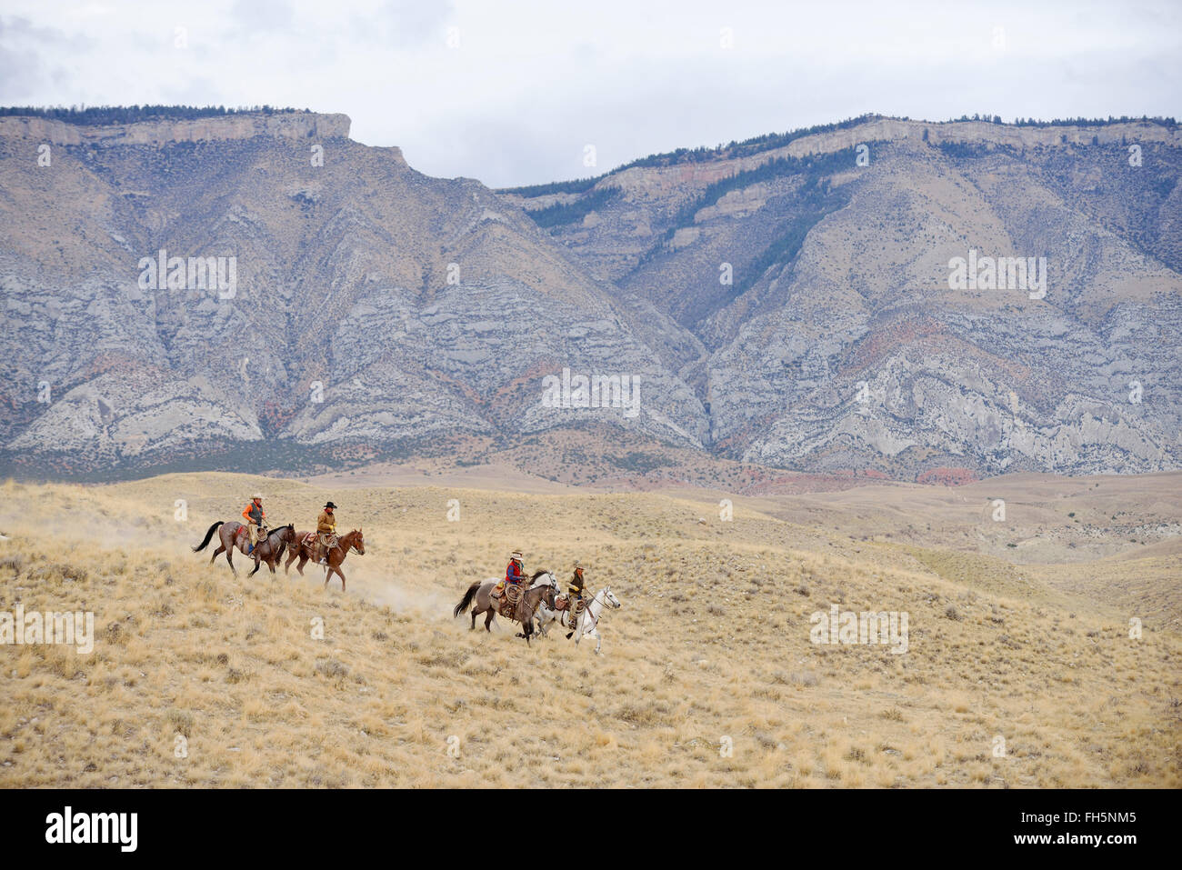 Cowboys and Cowgirls riding horse in wilderness, Rocky Mountains ...