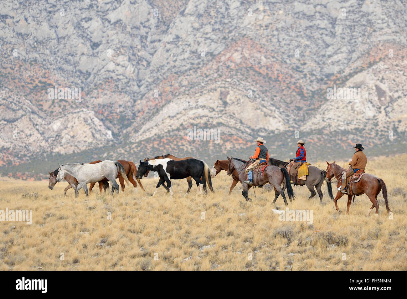 Three cowboys on horseback hi-res stock photography and images - Alamy