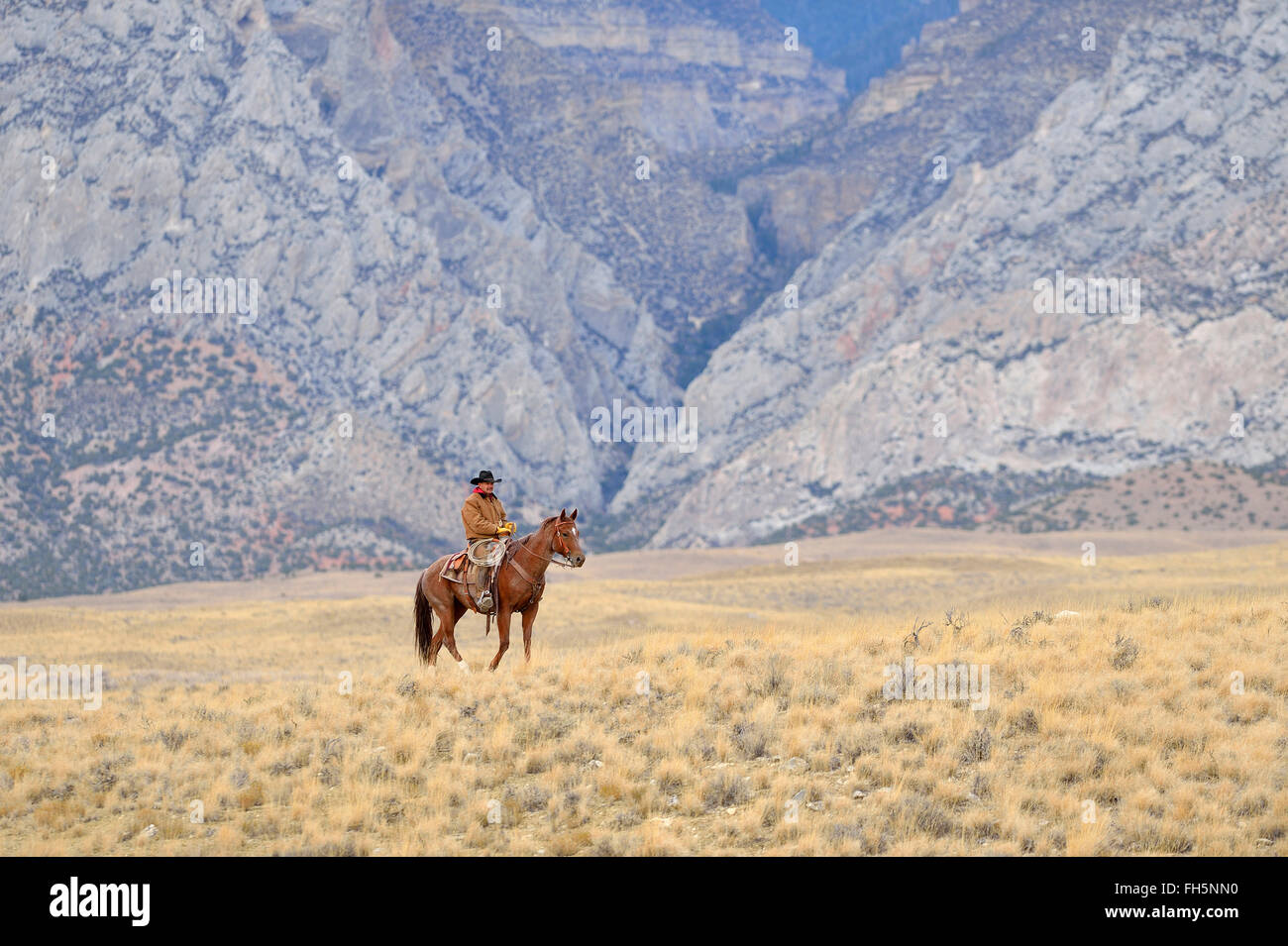 Cowboy riding horse in wilderness, Rocky Mountains, Wyoming, USA Stock ...