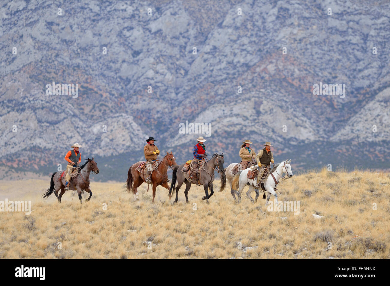 Cowboys in wyoming High Resolution Stock Photography and Images - Alamy