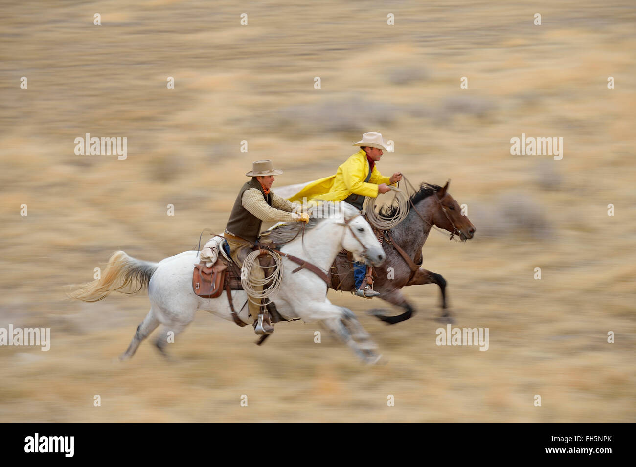 Cowboys on horses hi-res stock photography and images - Alamy