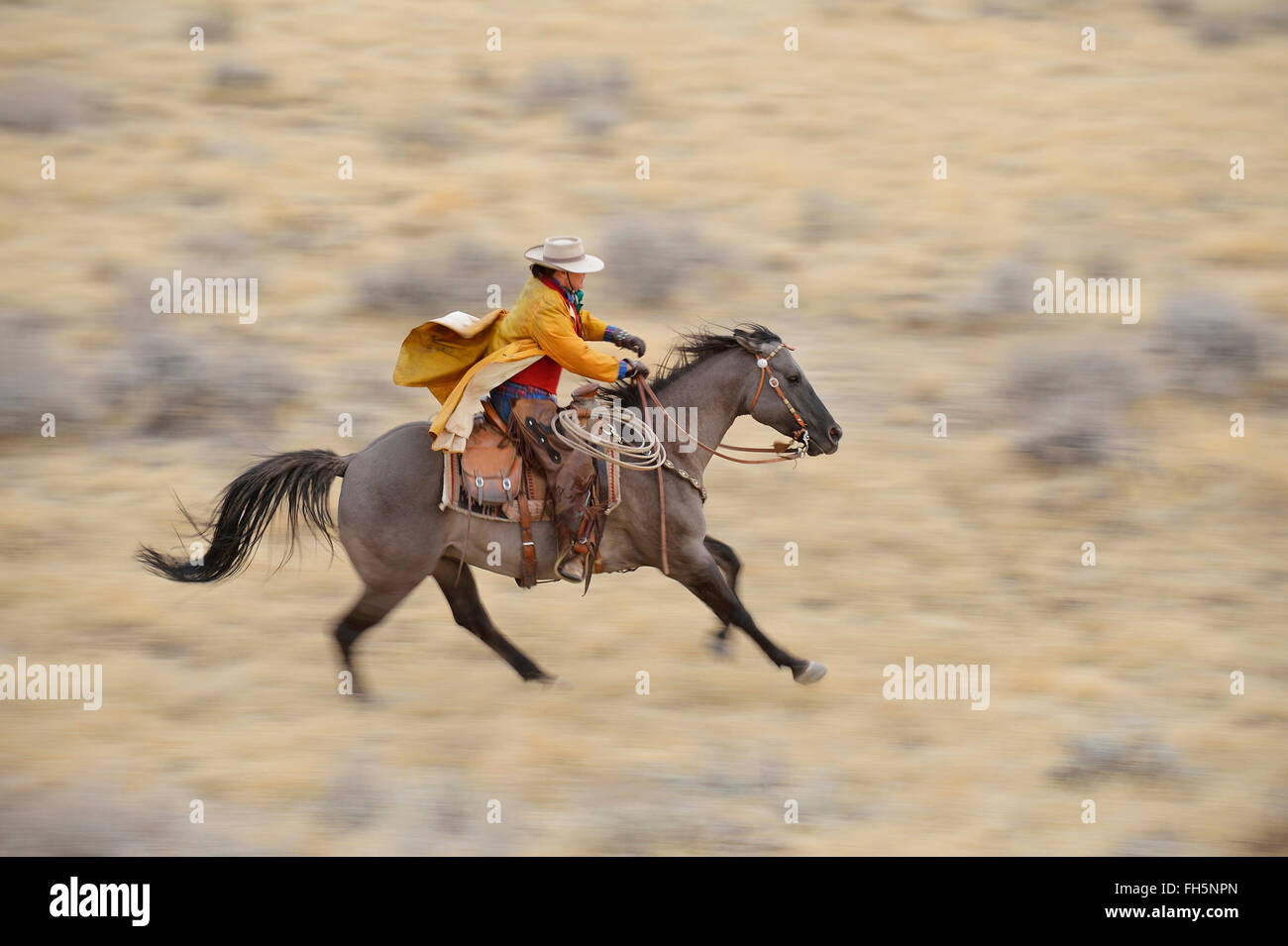 Woman Riding Horse Fast