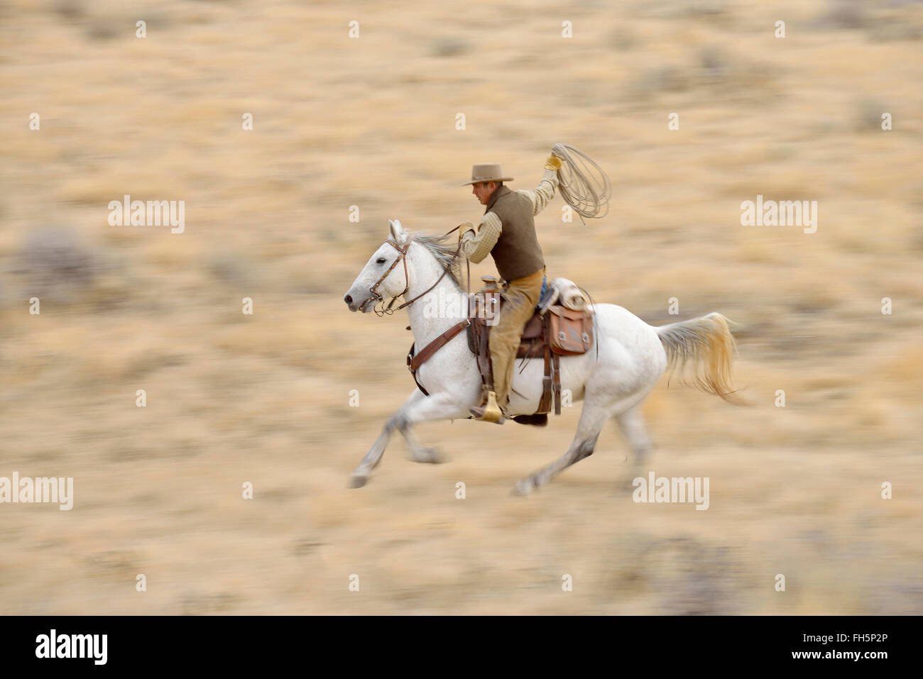Blurred motion of cowboy on horse holding lasso galloping in wilderness ...