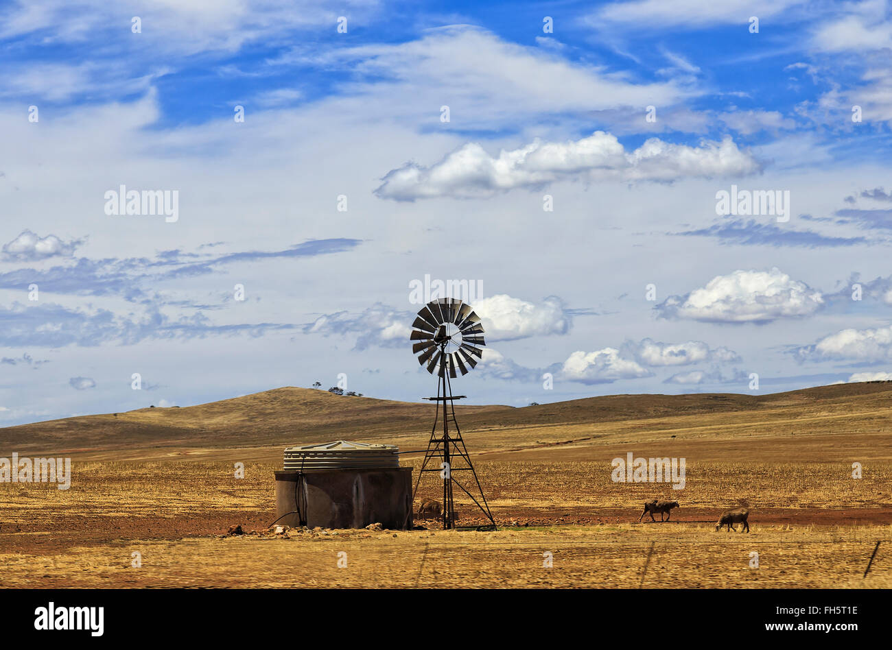 Yellow windmill hi-res stock photography and images - Alamy
