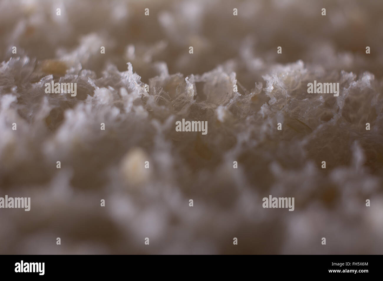 Bread texture macro hi-res stock photography and images - Alamy
