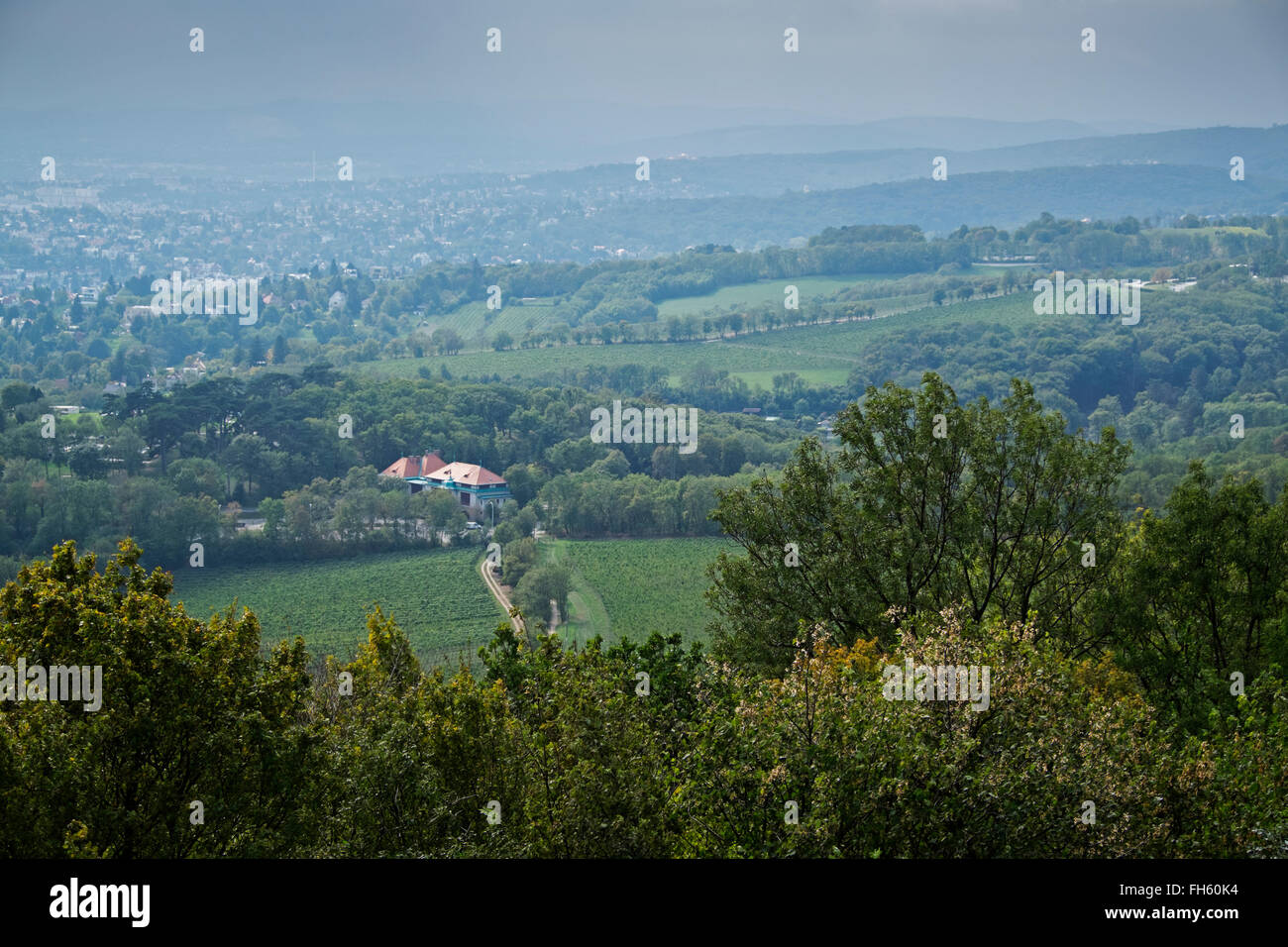 Grinzing, Dobling, Vienna, Austria Stock Photo - Alamy