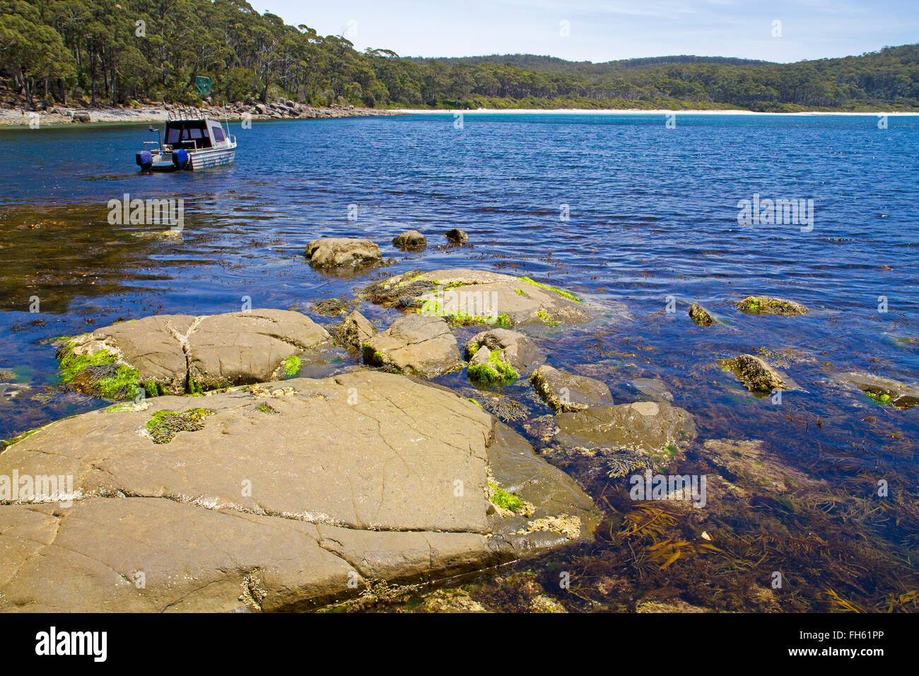 Boat fortescue hi-res stock photography and images - Alamy