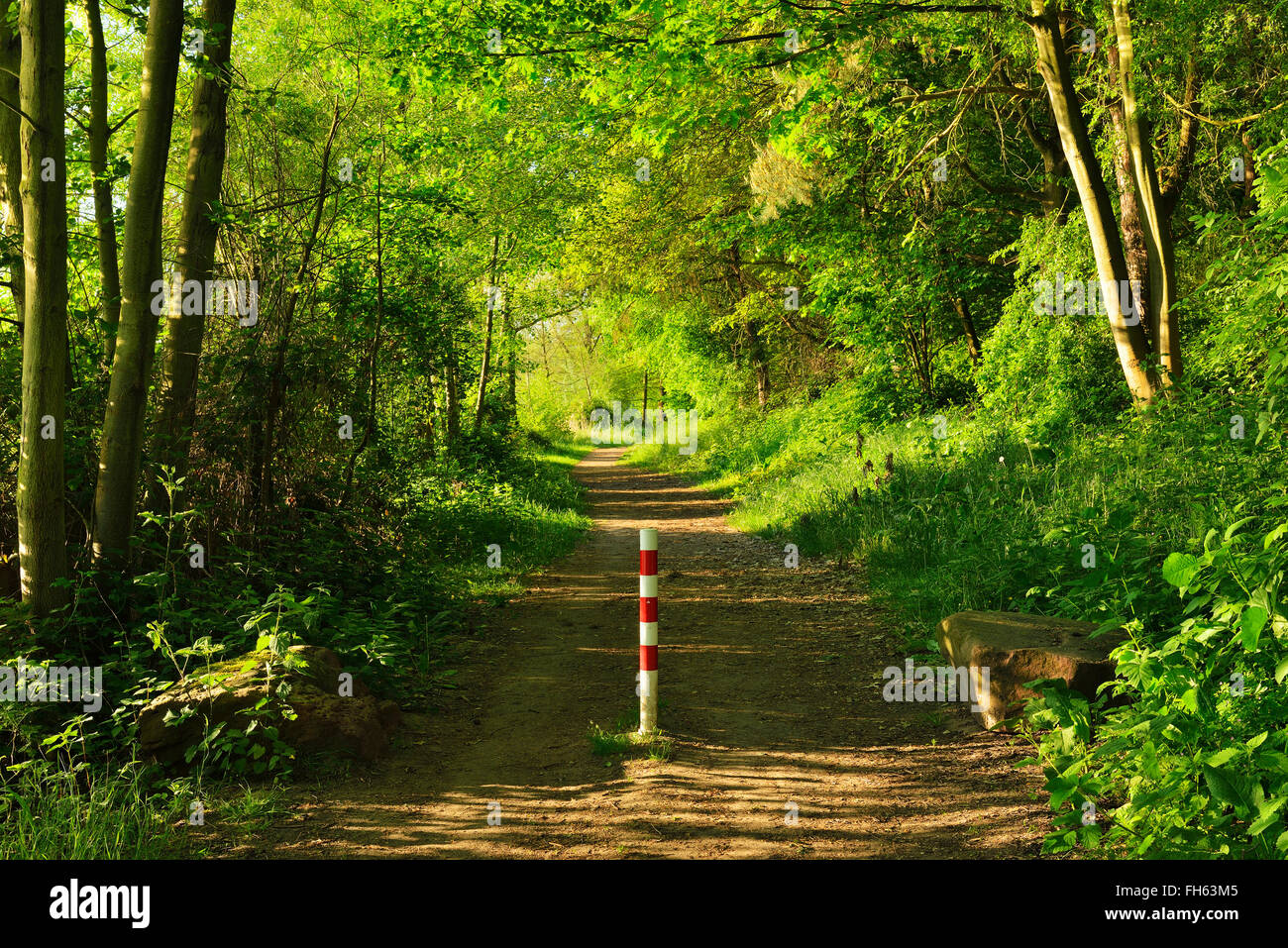 Miltenberg district hi-res stock photography and images - Alamy
