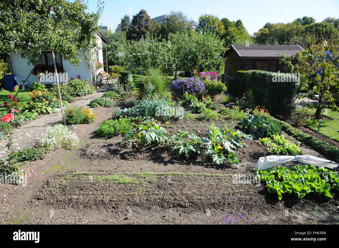 Community garden hi-res stock photography and images - Alamy