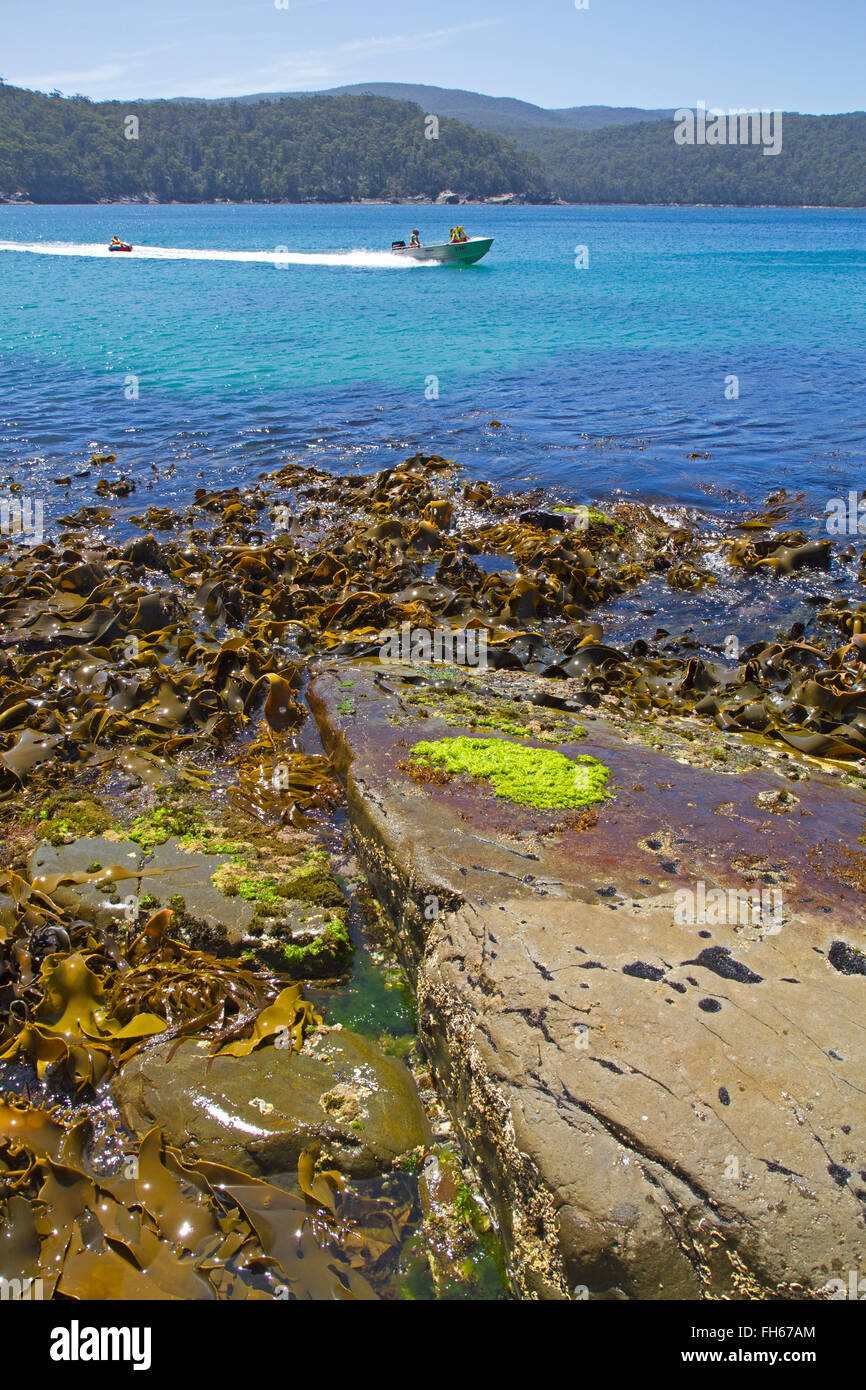 Boat fortescue hi-res stock photography and images - Alamy