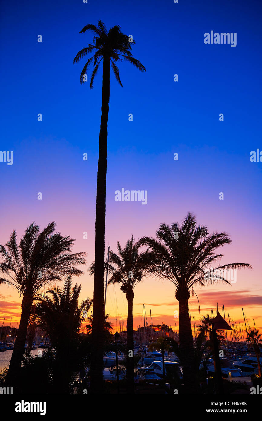 Denia sunset in Marina palm trees at Mediterranean Spain of Alicante ...