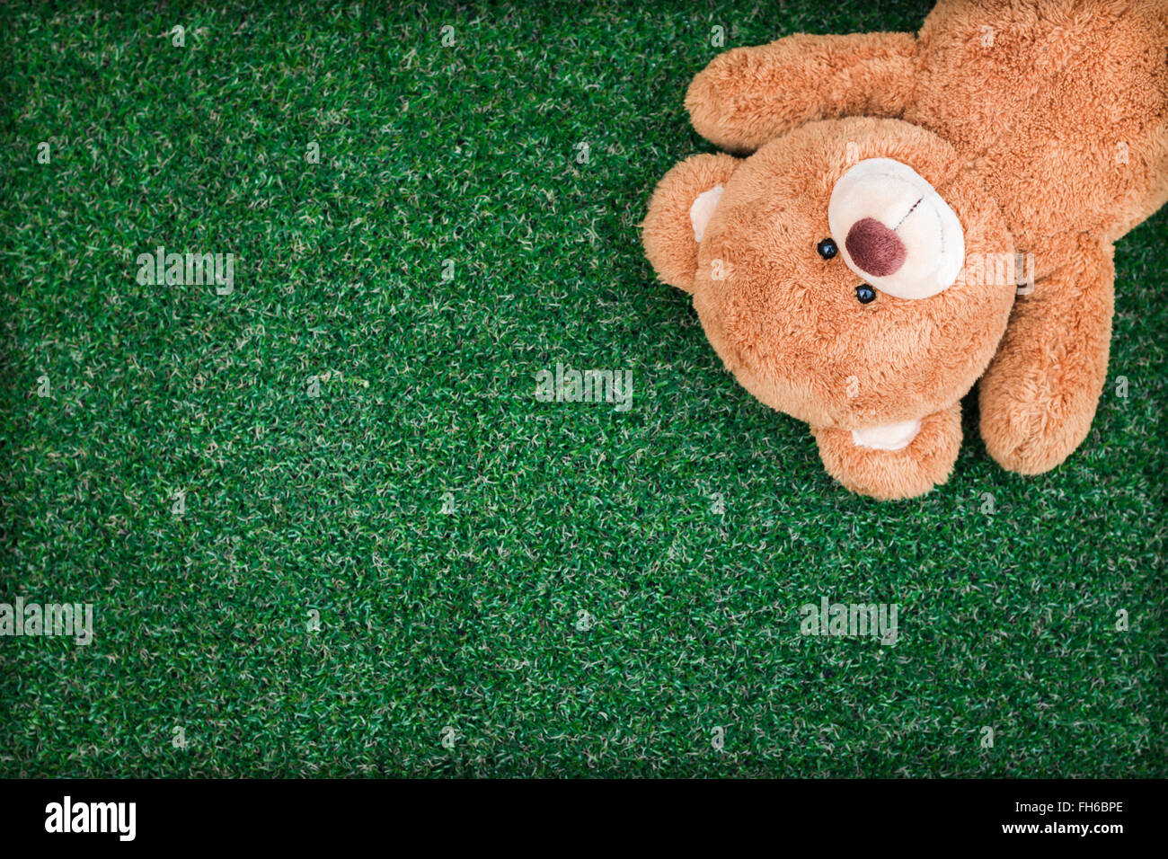 Cute teddy bear on green grass background Stock Photo - Alamy