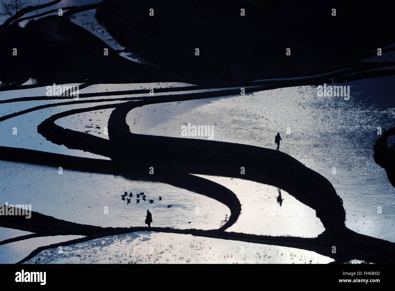 Yuanyang, China. 23rd Feb, 2016. Two people walk on a trail in the ...