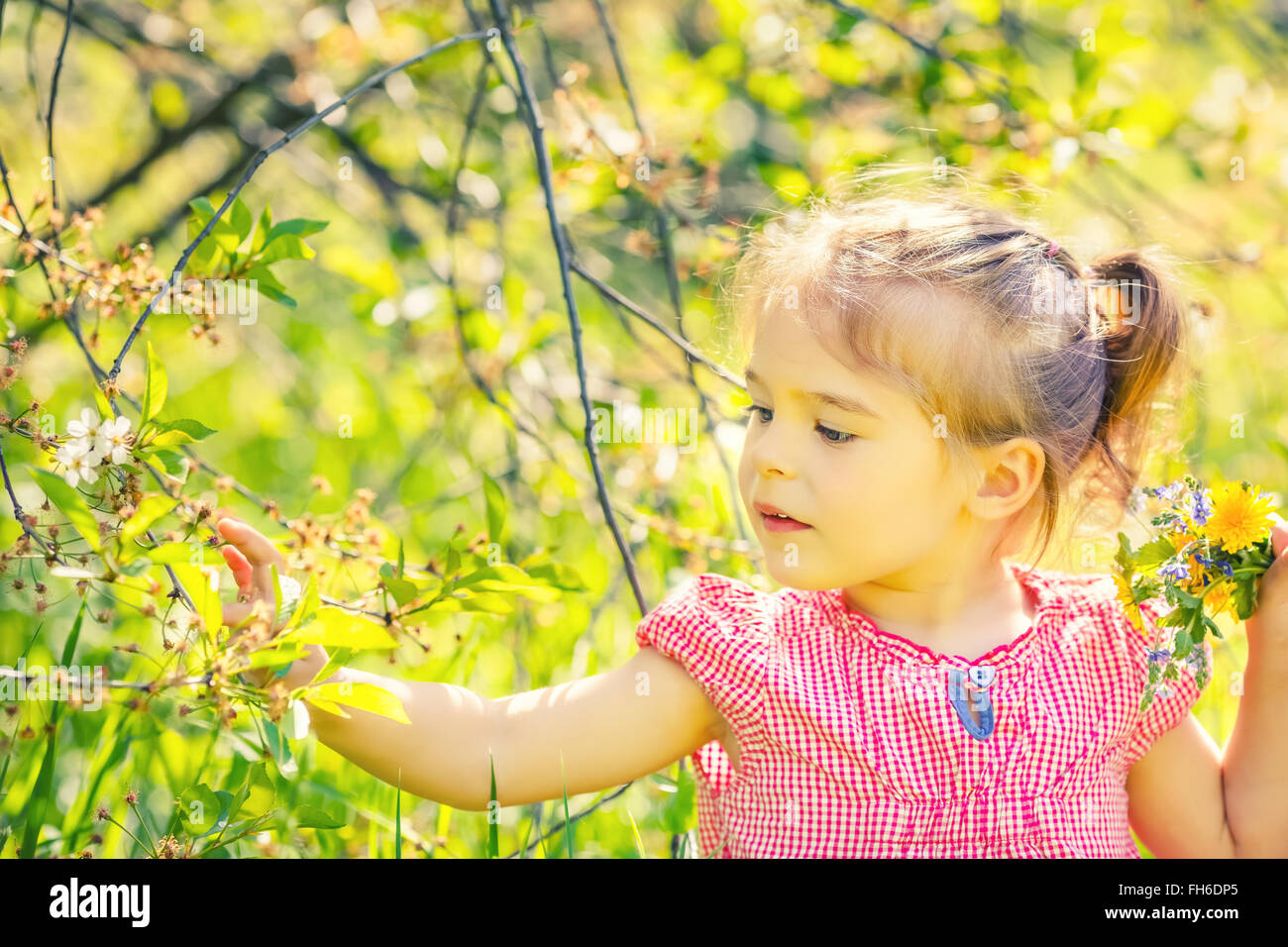 Happy little girl in spring sunny park Stock Photo - Alamy