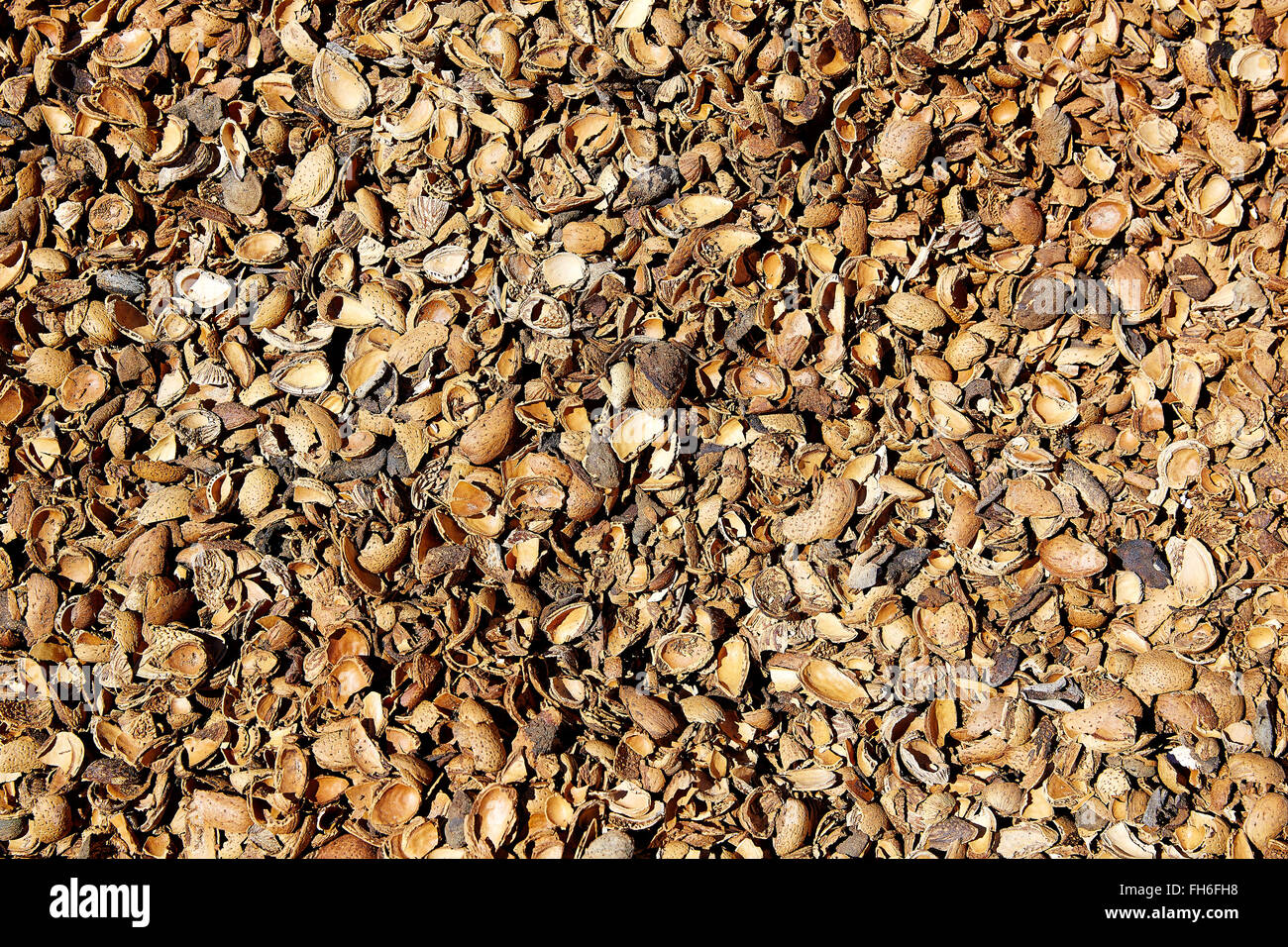 Almond shells texture in Teruel Albarracin of Spain Stock Photo - Alamy