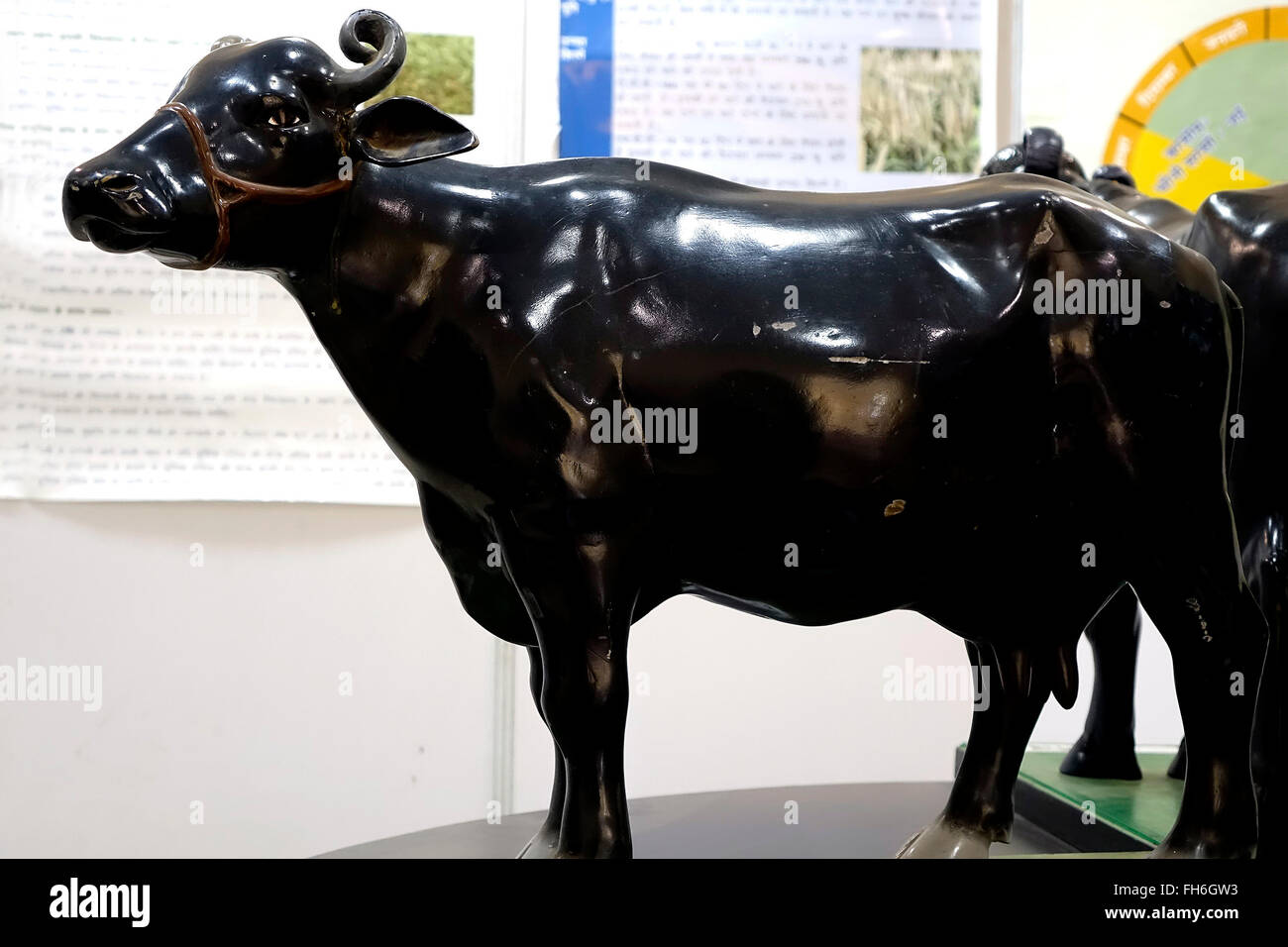 Haryana ndri hi-res stock photography and images - Alamy