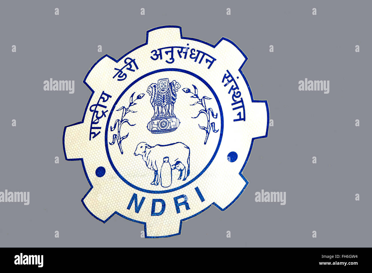 National Institute Of Design High Resolution Stock Photography and ...