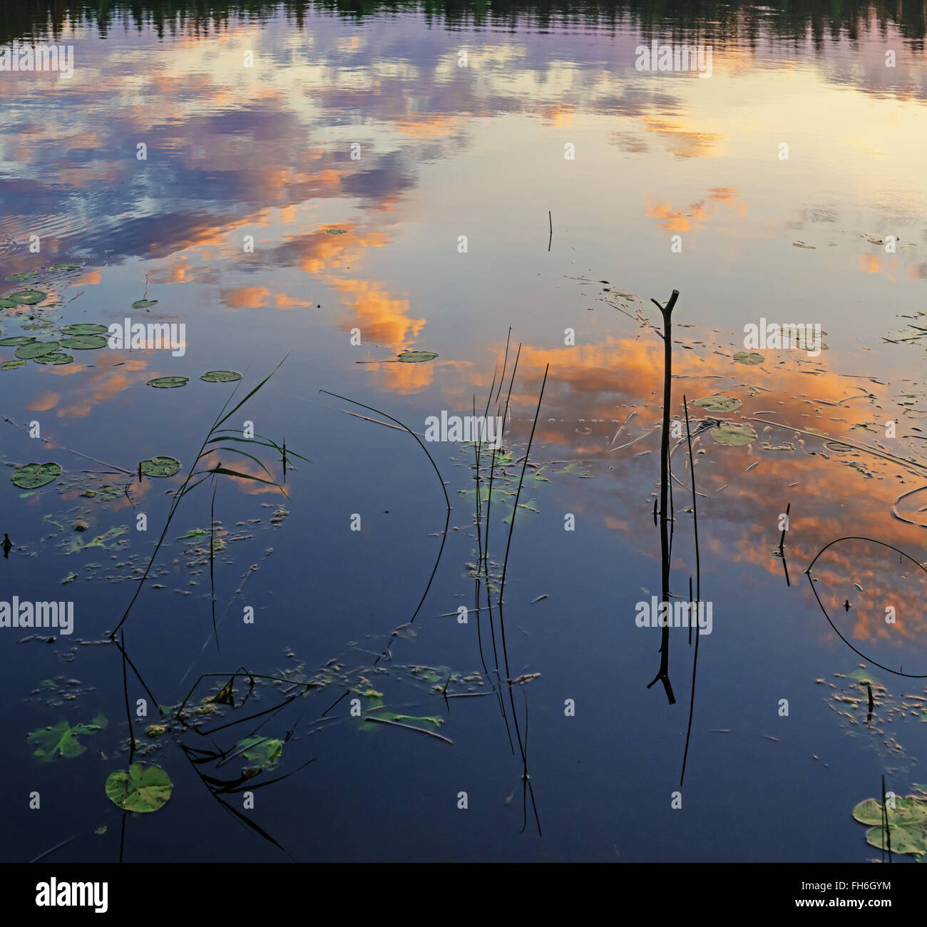 Pink sunset over lake Stock Photo - Alamy