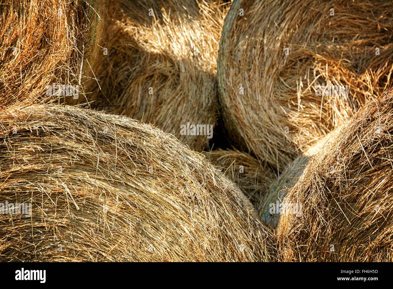Straw bales of straw storage Stock Photo - Alamy