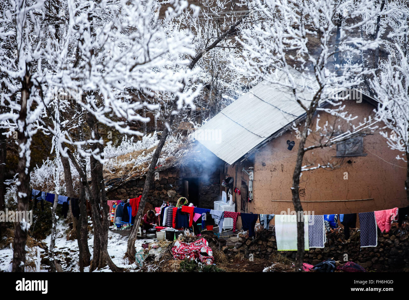 Zhaotong, Zhaotong, CHN. 23rd Feb, 2016. A black-necked cranes Reserve ...