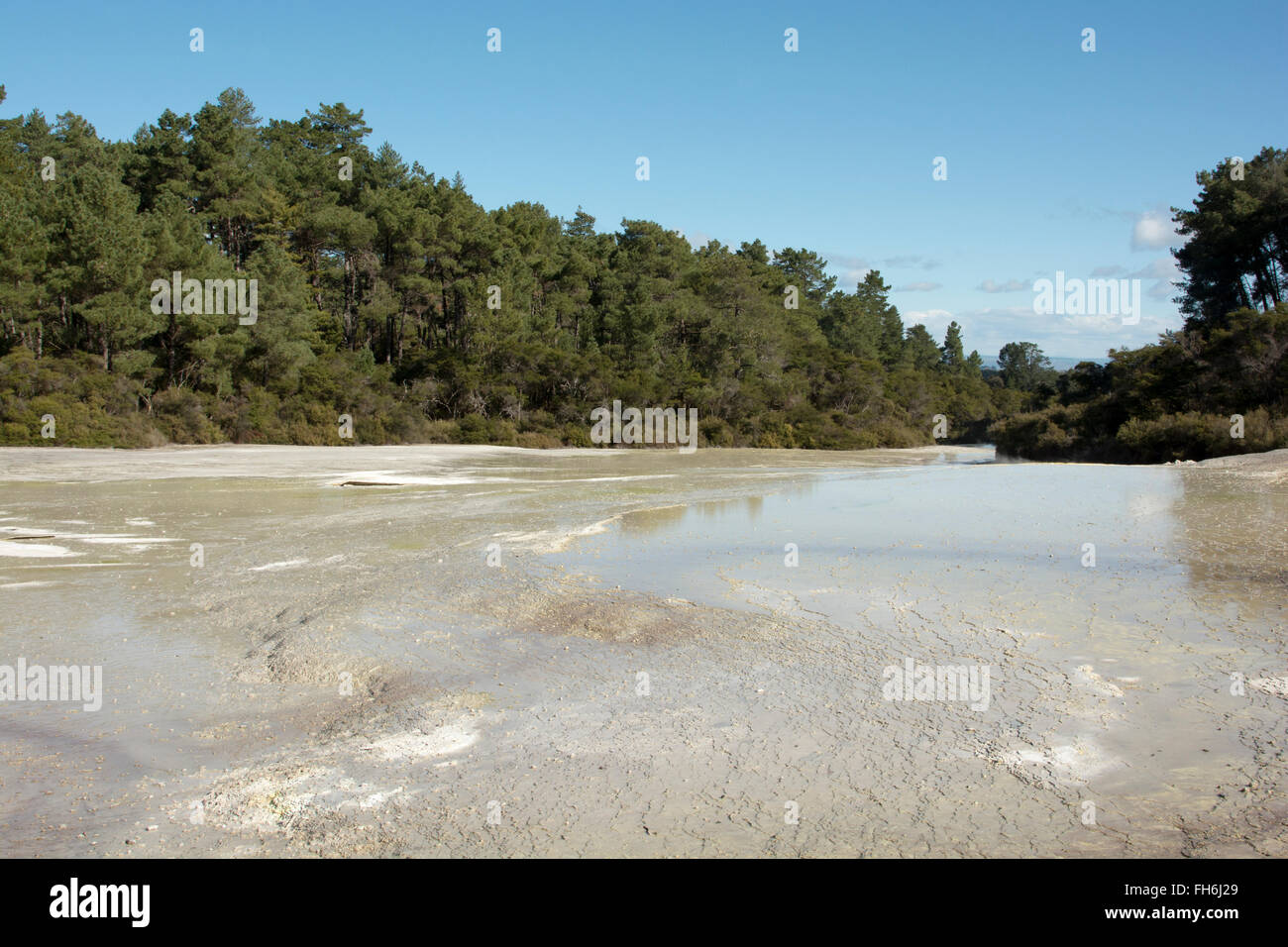 The Primrose Terrace is the largest sinter terrace in New Zealand ...