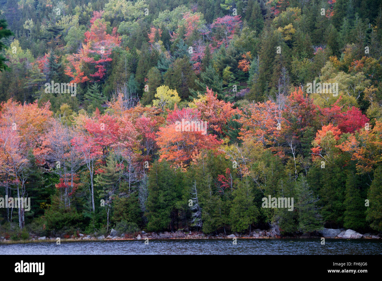Fall foliage along Jordan Pond Acadia National Park, Maine Stock Photo ...