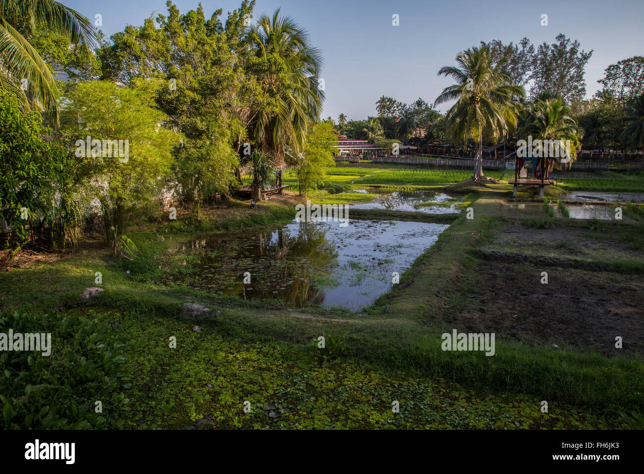 Laman Padi Rice Museum - Langkawi is part of Kedah, a state known for ...